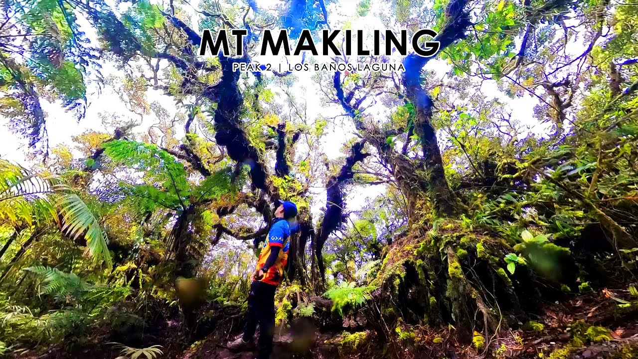 Mt Makiling Peak 2 Event Highlight | March 17, 2024 - YouTube