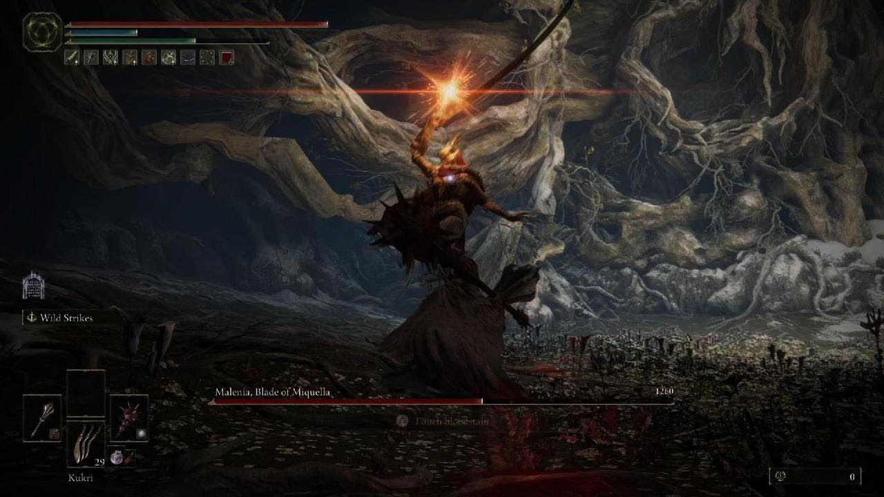 Bleed Knight vs Malenia Blade of Miquella (solo) - YouTube