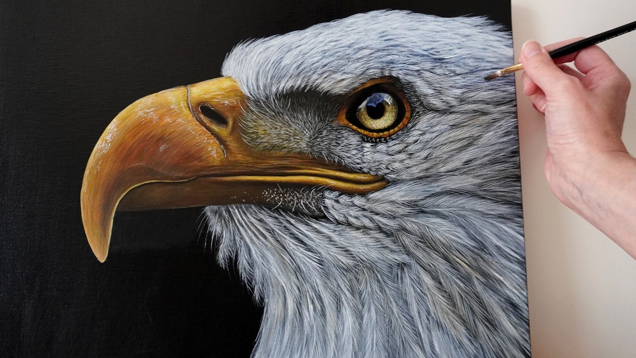 Bald Eagle Acrylic Painting | Timelapse - YouTube