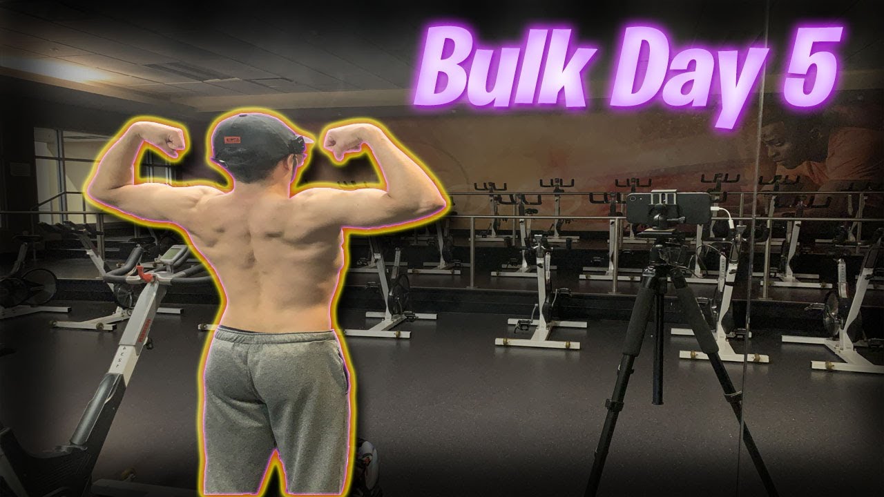 Bulk- Back (Day 5) - YouTube