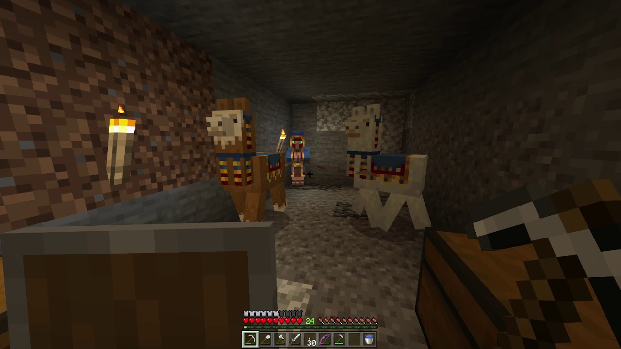 Minecraft: Trader appears to a Mine - YouTube
