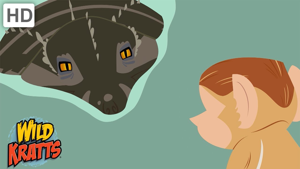 Creature Battles! | Every Creature Showdown Part 5 | Wild Kratts - YouTube