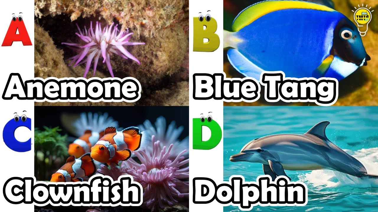 ABC phonics animals | ABC Sea Animals song | English and Animals for ...