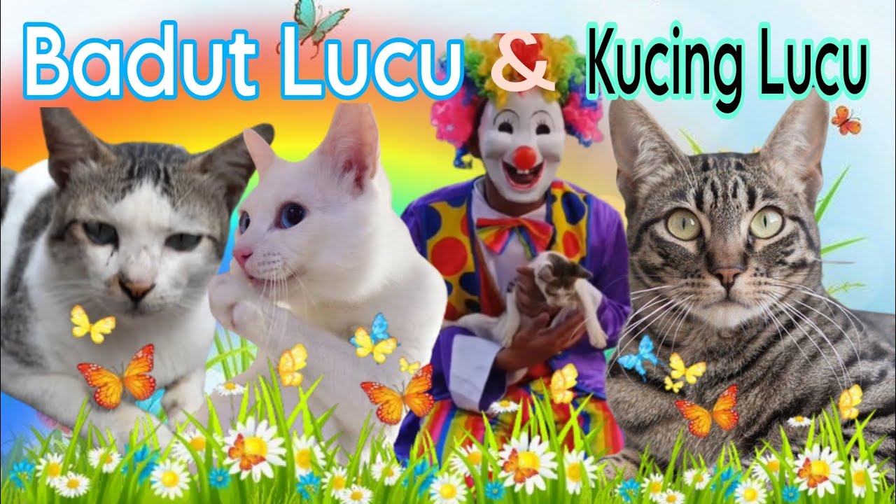 KUCING MEONG MEONG 😻 KUCING LUCU VS BADUT LUCU 😻 LAGU KUCING MEONG MEONG #kucing #viralvideo # ...