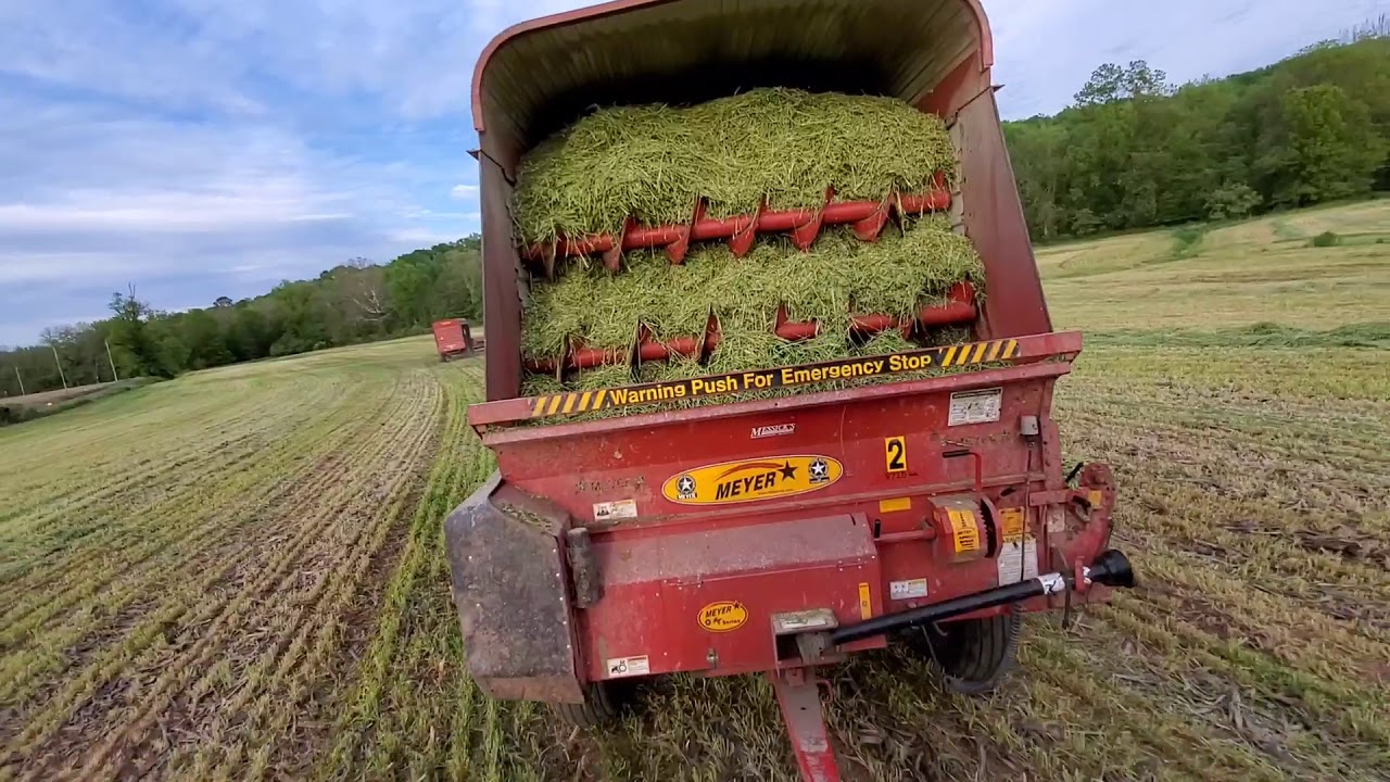 Finally time to chop barley, New Holland FP 240 pull type Chopper - YouTube