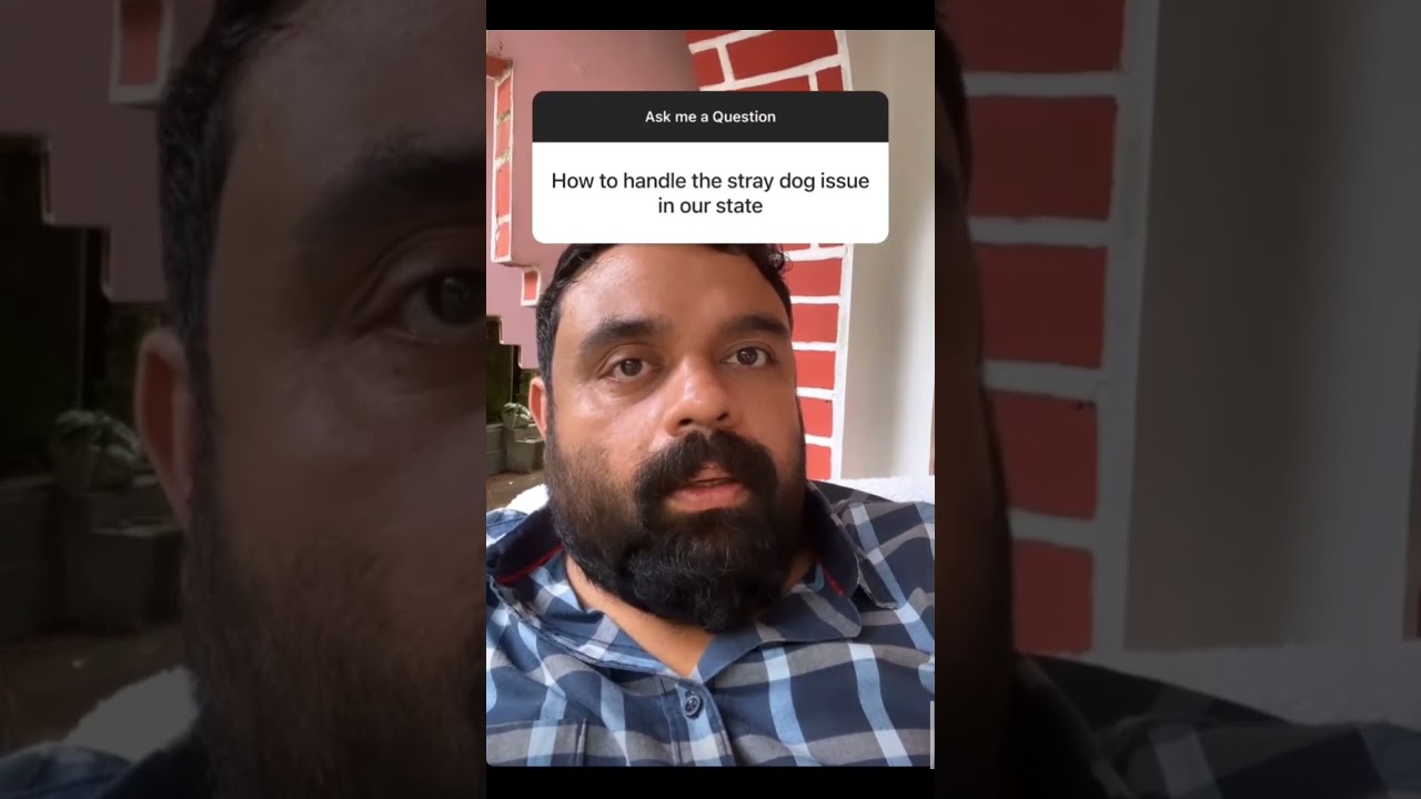 Comments Replying Mrinal Blog #mrinal #food #commentsreply #shorts # ...