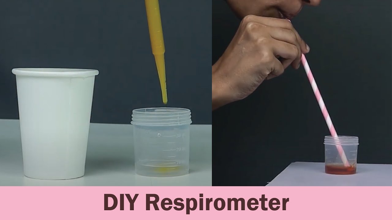 DIY Respirometer | DIY Science | ThinkTac - YouTube