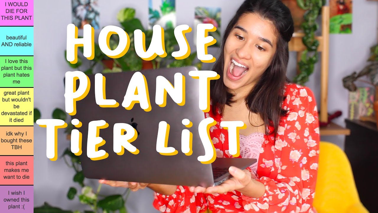 HOUSE PLANT TIER LIST | Ranking Popular Plants! - YouTube