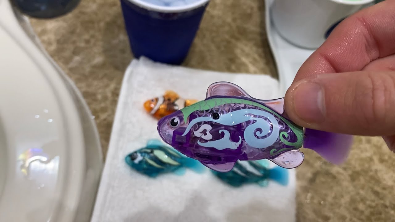 Activating The COLOR CHANGE Feature Of Zuru Alive Robo Fish - YouTube