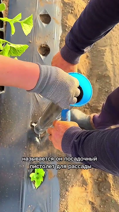 Посадочный пистолет для рассады. Купили бы?) #дача - YouTube