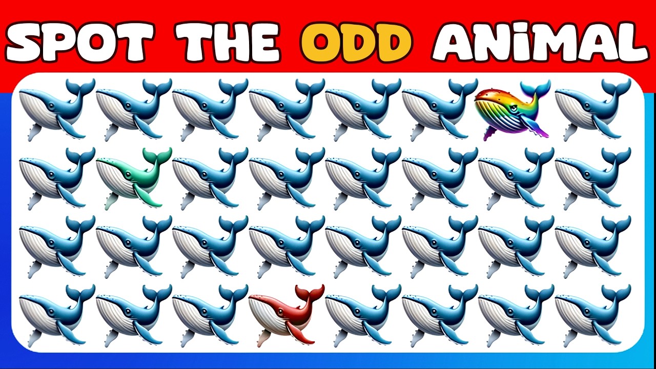 Find the ODD One Out - Animals Edition - Spot the Odd - Riddle hub ...