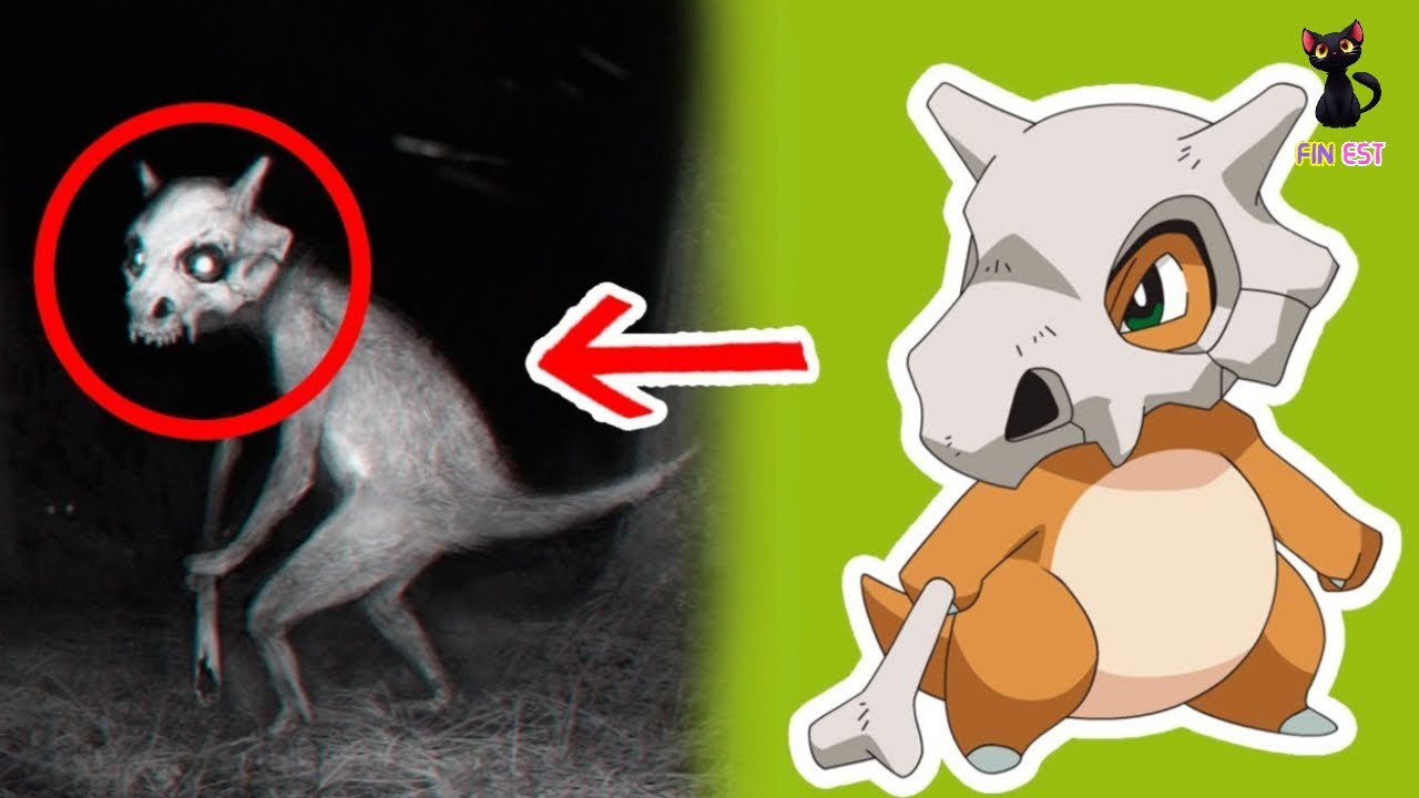 5 Pokémons Caught on Camera in Real Life - YouTube