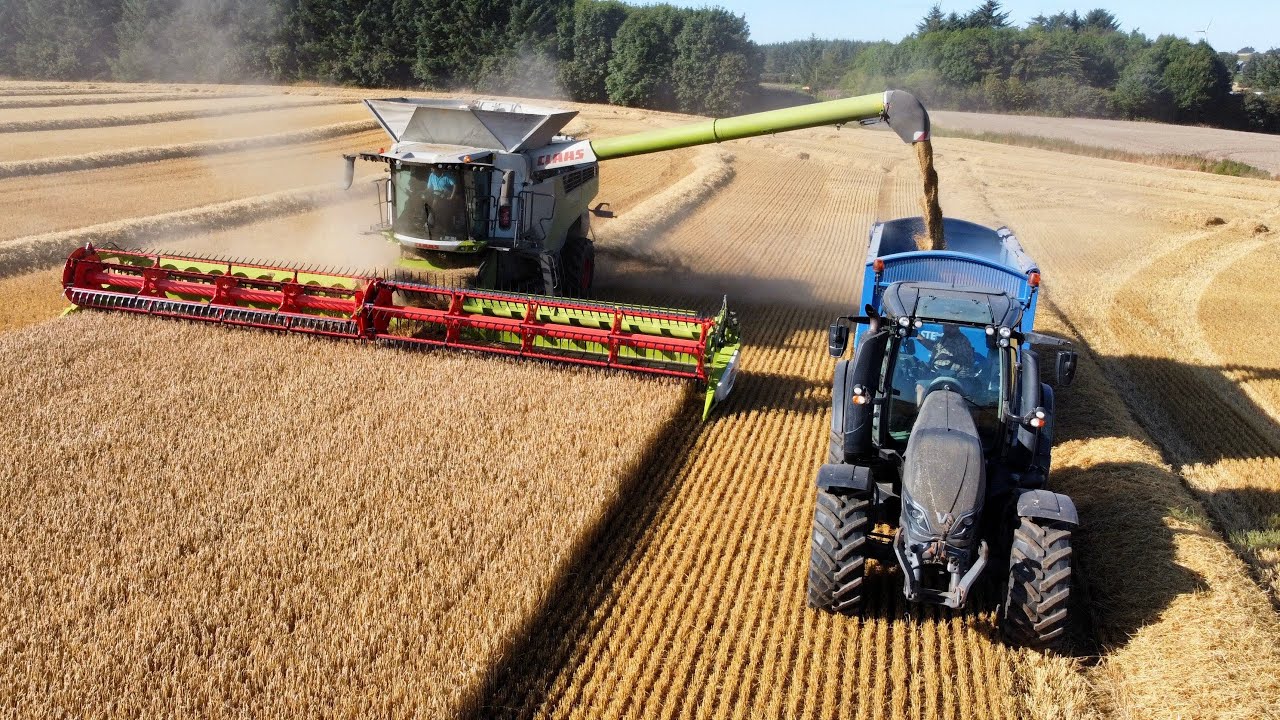 Harvest 2023 - BRAND NEW Claas Lexion 8700 - YouTube