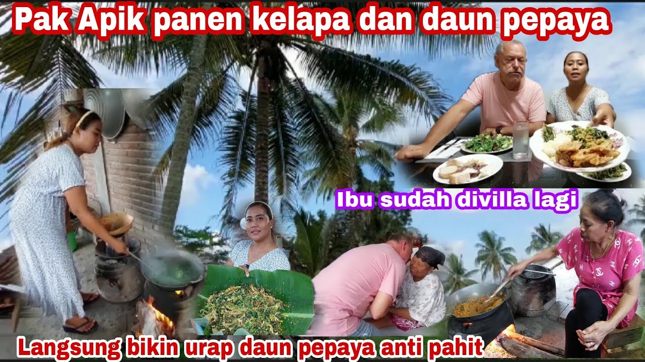 PAK APIK PANEN KELAPA DAN DAUN PEPAYA LANGSUNG BIKIN URAP ANTI PAHIT ...