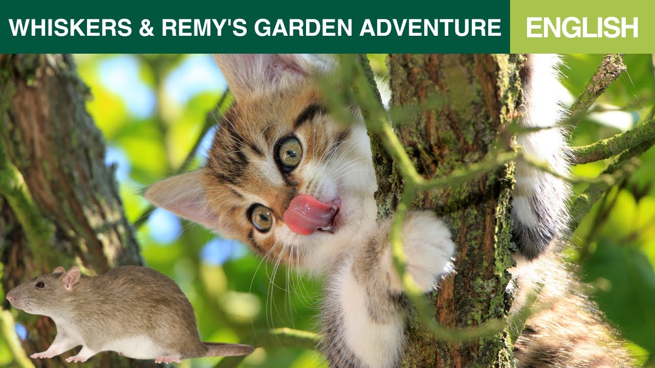 The Cat and the Rat | Whiskers and Remy's Magical Adventure | Story in ...
