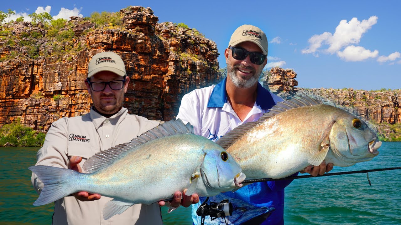 How to catch the elusive Blue Bastard Fish | Fishing in the Kimberley ...