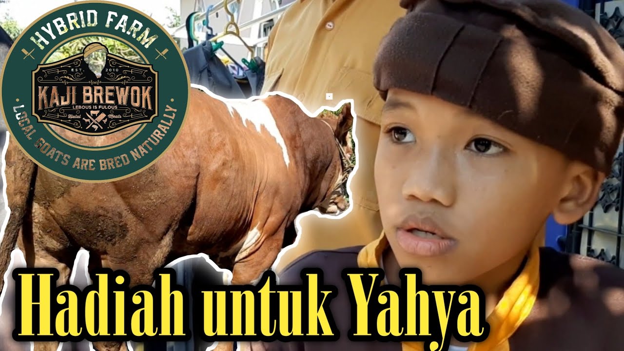 KEJUTAN DARI KAJI BREWOK FARM MALANG UNTUK YAHYA SANG HAFIDZ QUR'AN ...