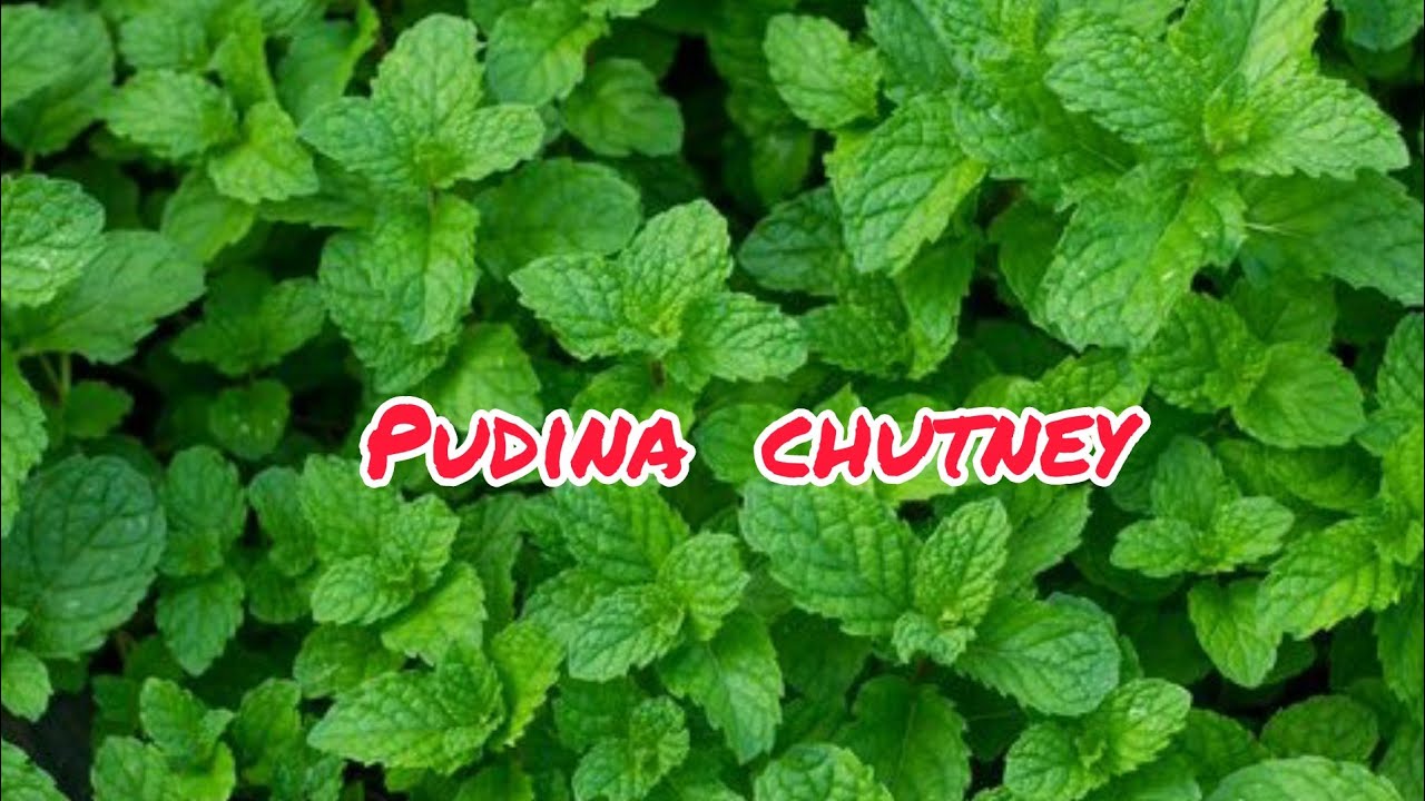 Easy and simple receipe of pudina chutney - YouTube
