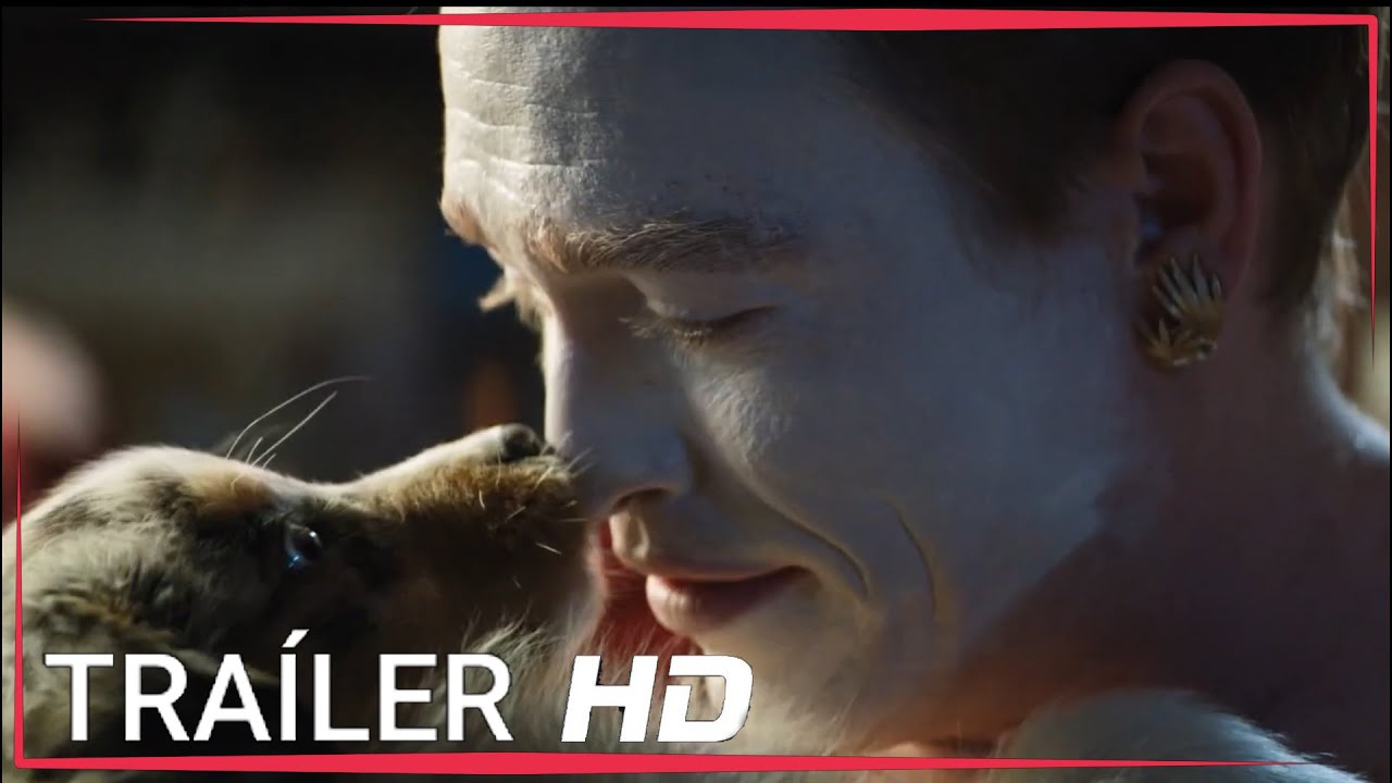 Dogman | Tráiler Oficial Español HD 2023 - YouTube