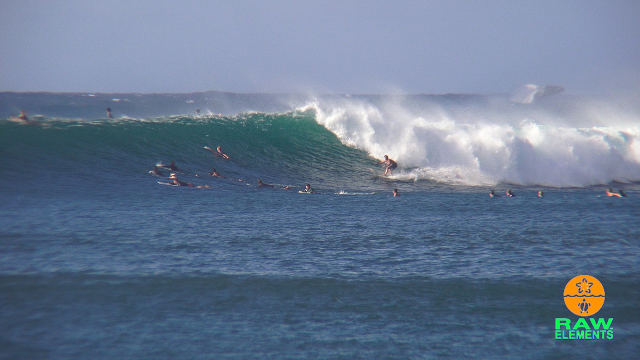 Surfing & Humpback Whale Breach SONY 4K - YouTube