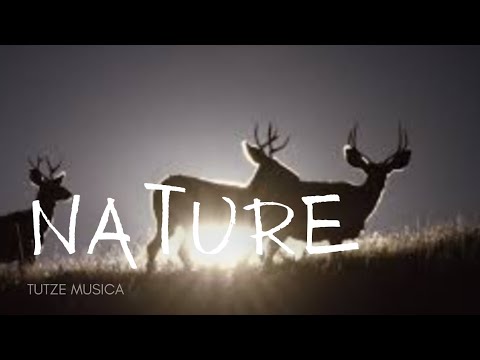 NATURE (Versión Original Mp3) - YouTube
