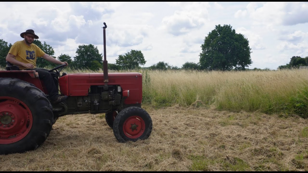 Overgrown Pasture Flail Mowing with Carraro 6000 - YouTube