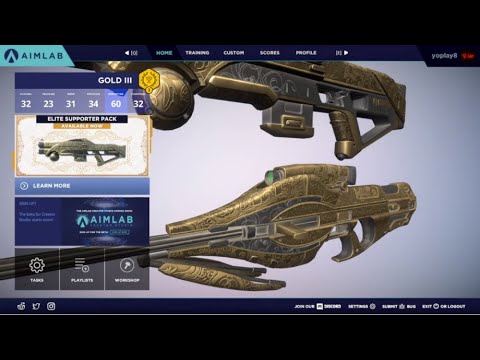 Aim Lab - Rank Gold_3 - Day 7 - YouTube