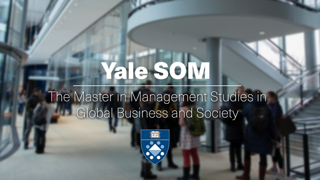 The Master in Management Studies in Global Business and Society - YouTube
