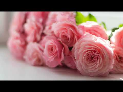 SALAVATI ŞEMSİYYE-SUBLİMİNAL KAYIT-100 TEKRAR-YAĞMUR SESİ+GÜL FREKANSI(320 HZ)