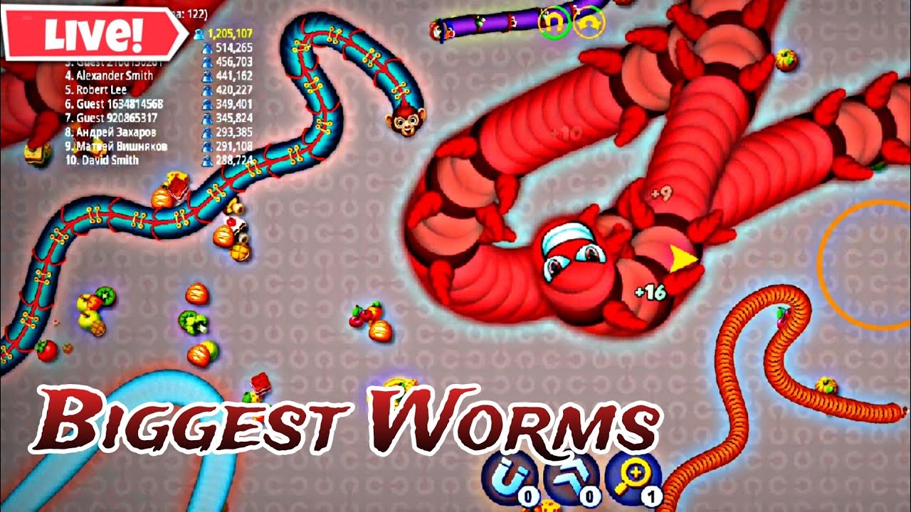 Worms Zone Max Level 😎 || Live Stream - YouTube