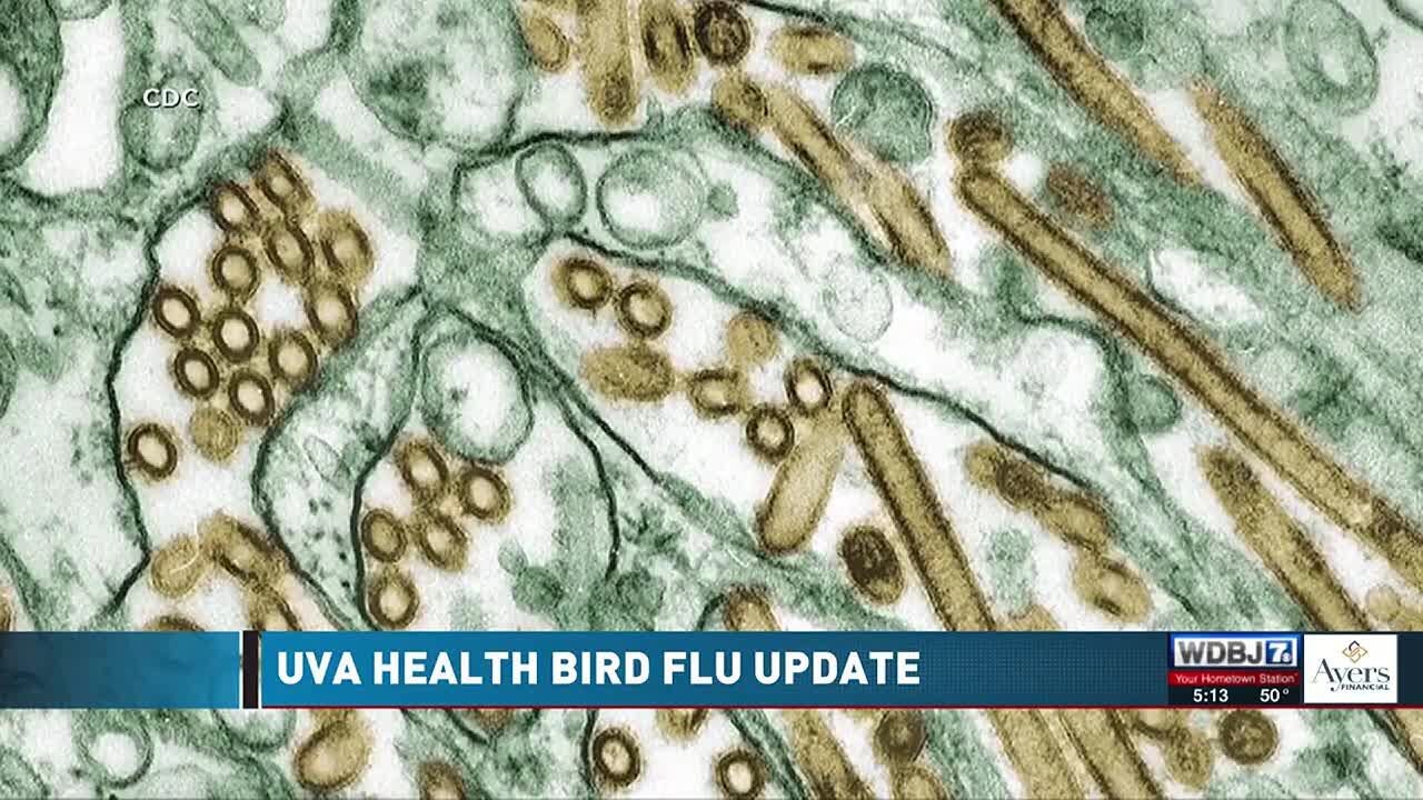 UVA Health Provides Update on Bird Flu - YouTube