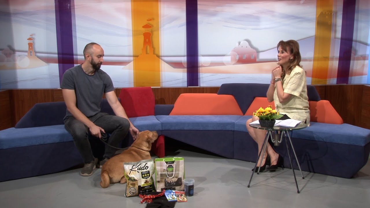 TV Pančev - Gost "Jutarnjeg programa" - dr Nikola Bugarin - YouTube