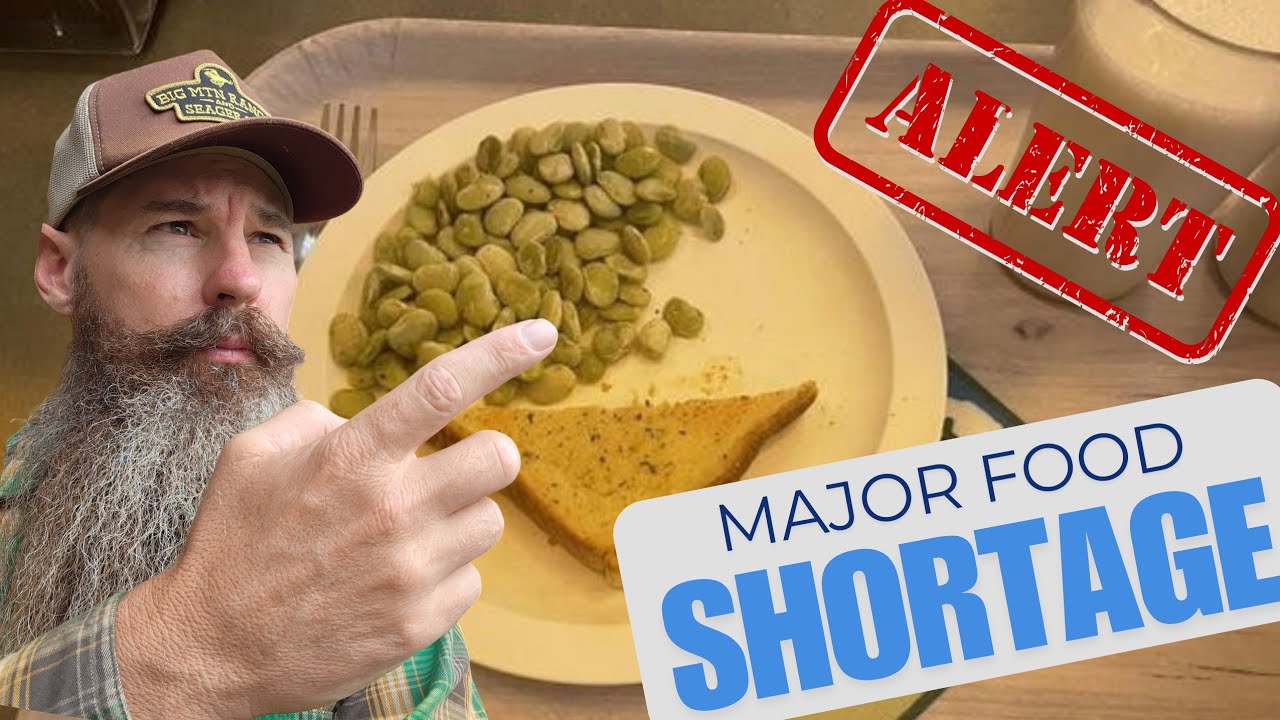 Major Food Shortage - Food Is Scarce for Soldiers at Fort Carson - YouTube