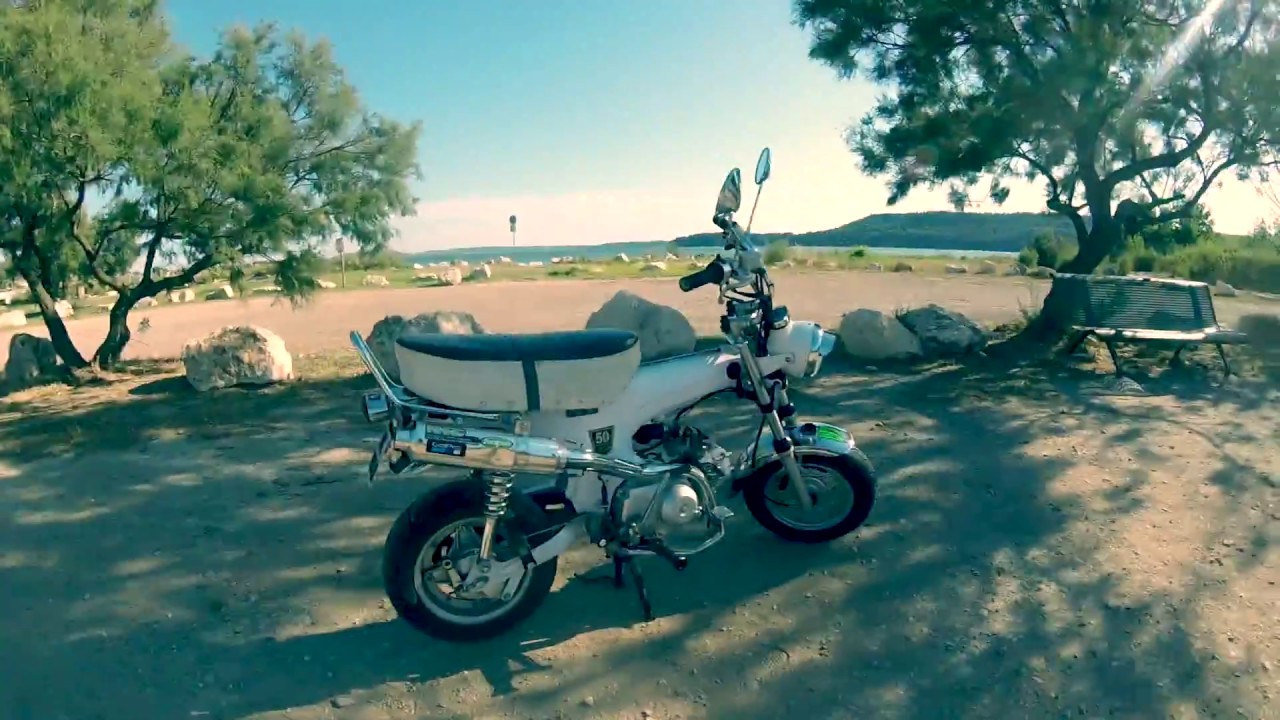 dax 50cc - YouTube