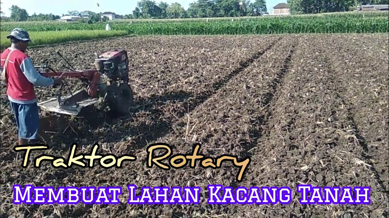 Cara Pengolahan Lahan Kacang Tanah || Traktor Quick Zena Rotary - YouTube