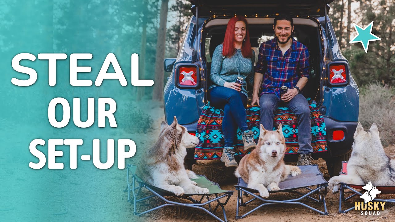 The ULTIMATE Car Setup For Dogs | HUSKY SQUAD - YouTube