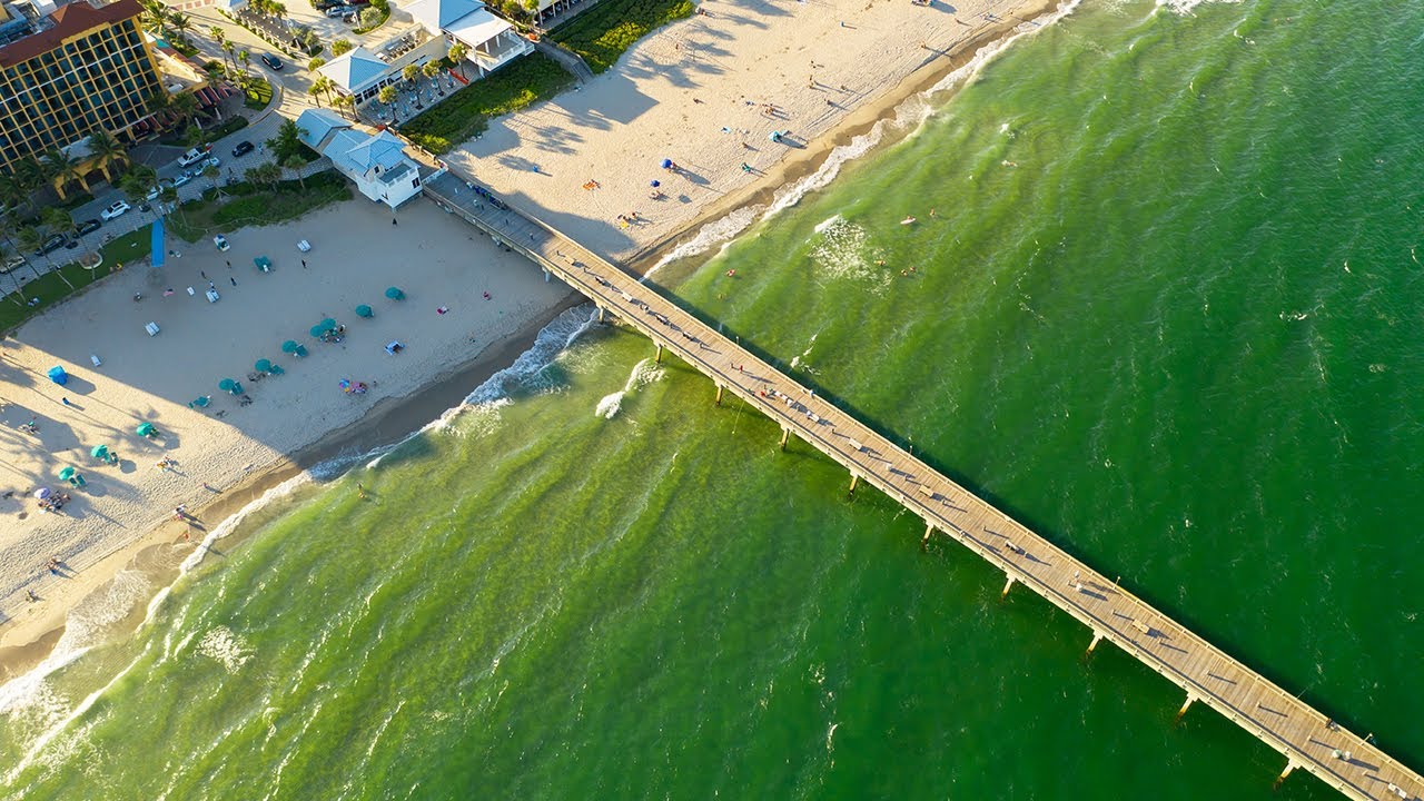 Which Side Of The Pier You Should Be Fishing (Depending On The Season ...