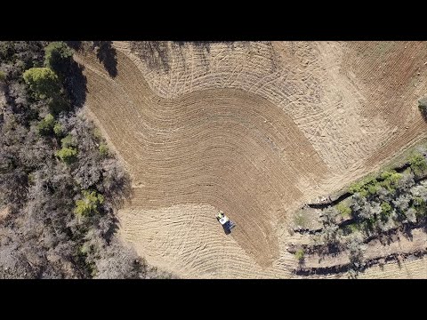 Técnica Keyline en nuestras fincas de olivos para aprovechar al máximo ...