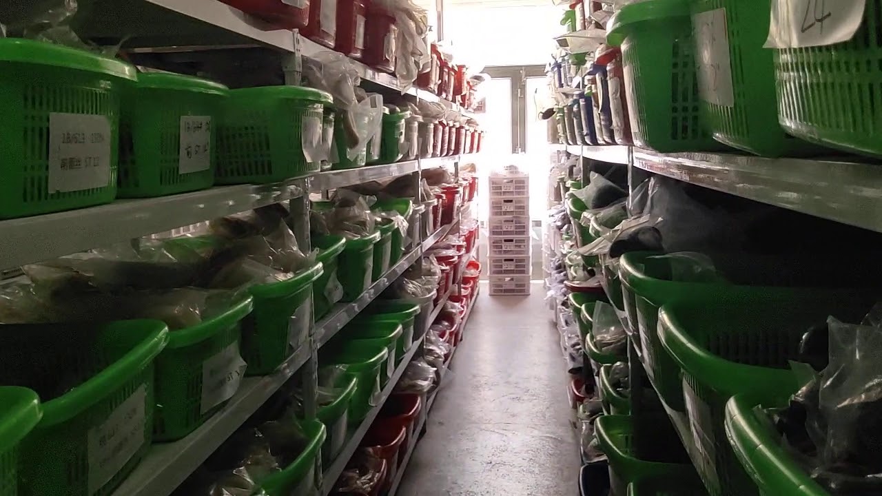 Hair factory Warehouse, Best Hair Wholesale vendor - YouTube
