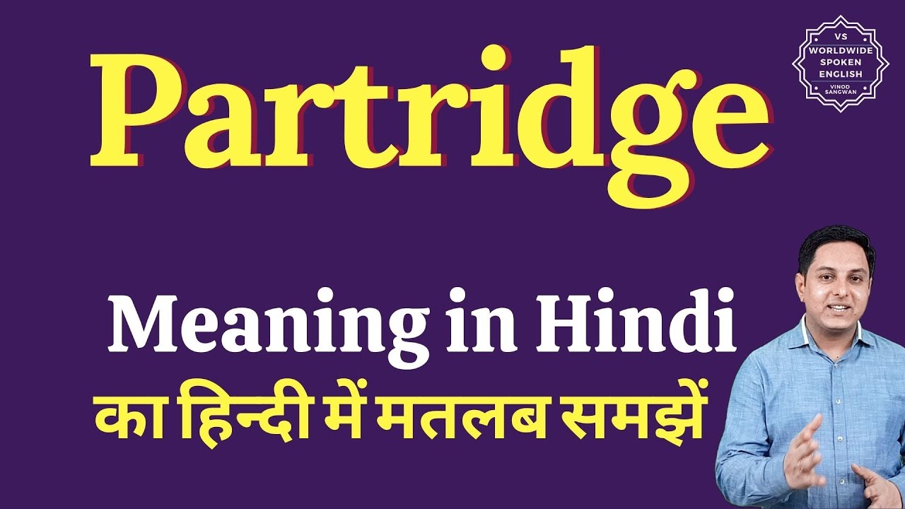 Partridge meaning in Hindi | Partridge ka kya matlab hota hai | Spoken ...