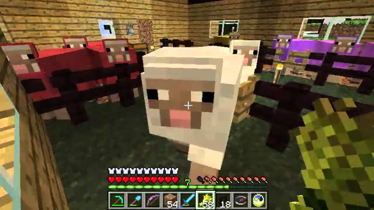 Minecraft -184- Sheep Are Stupid - YouTube