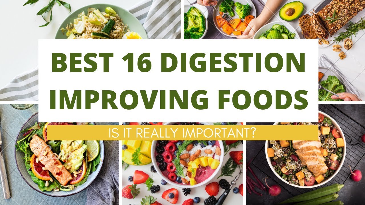 16 Amazing Foods for Digest Home Digestive Process - YouTube