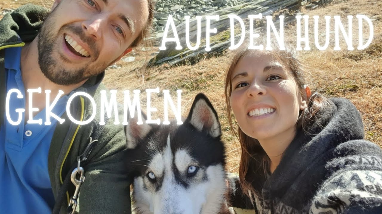 Auf den Hund gekommen | Simon - YouTube