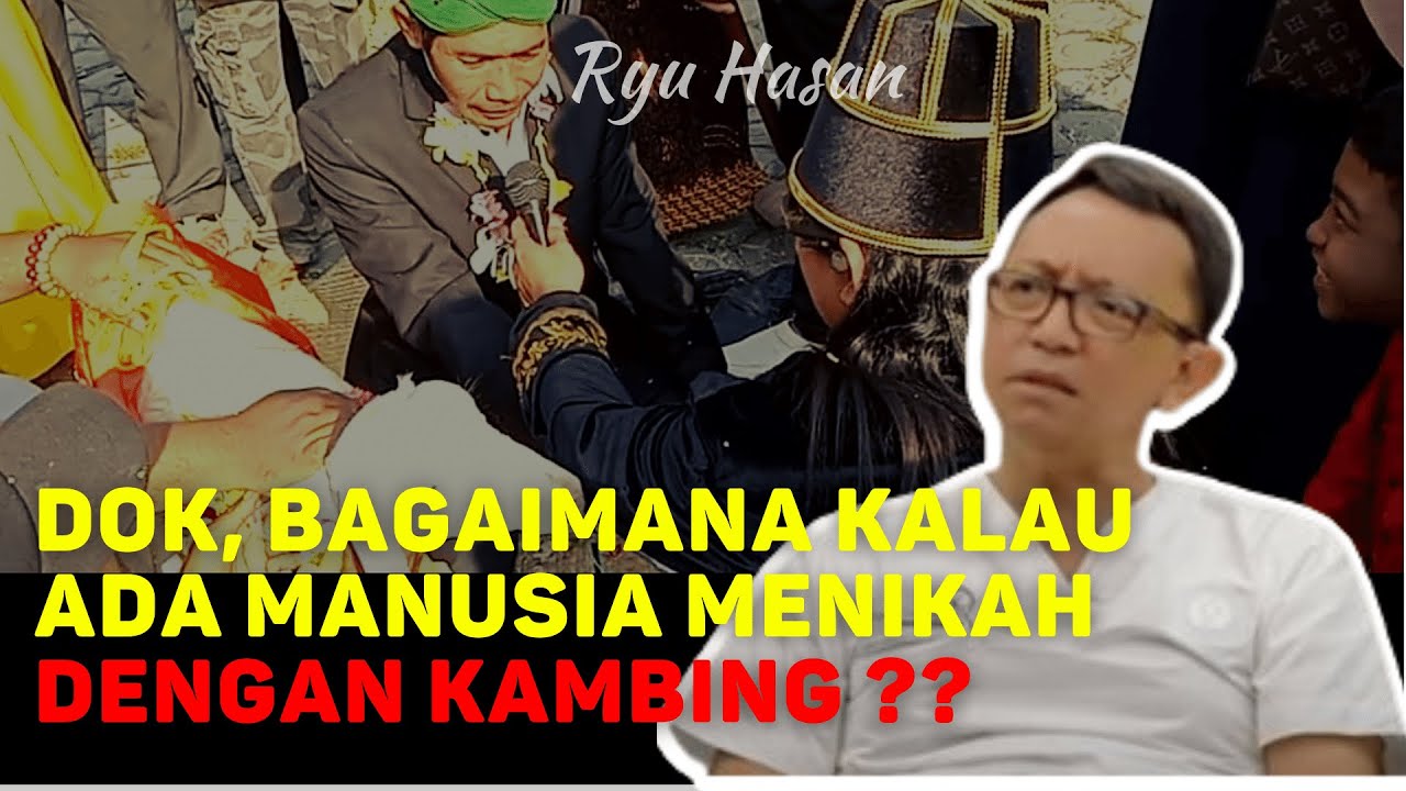 Dok, Ada Manusia Menikah Dengan Kambing, bagaimana tanggapannya ?? RYU ...