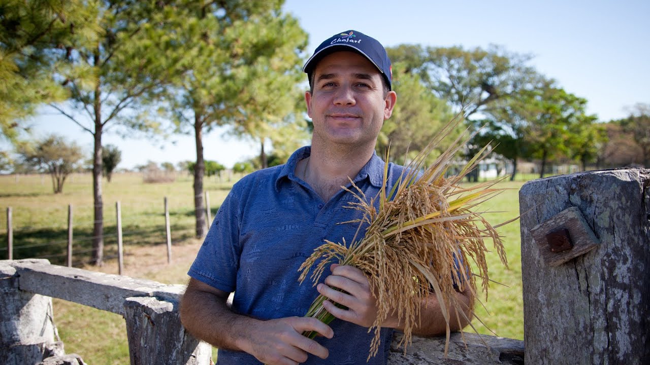 Argentina's Ferrari Farmer Triumphs in Rice Field - YouTube