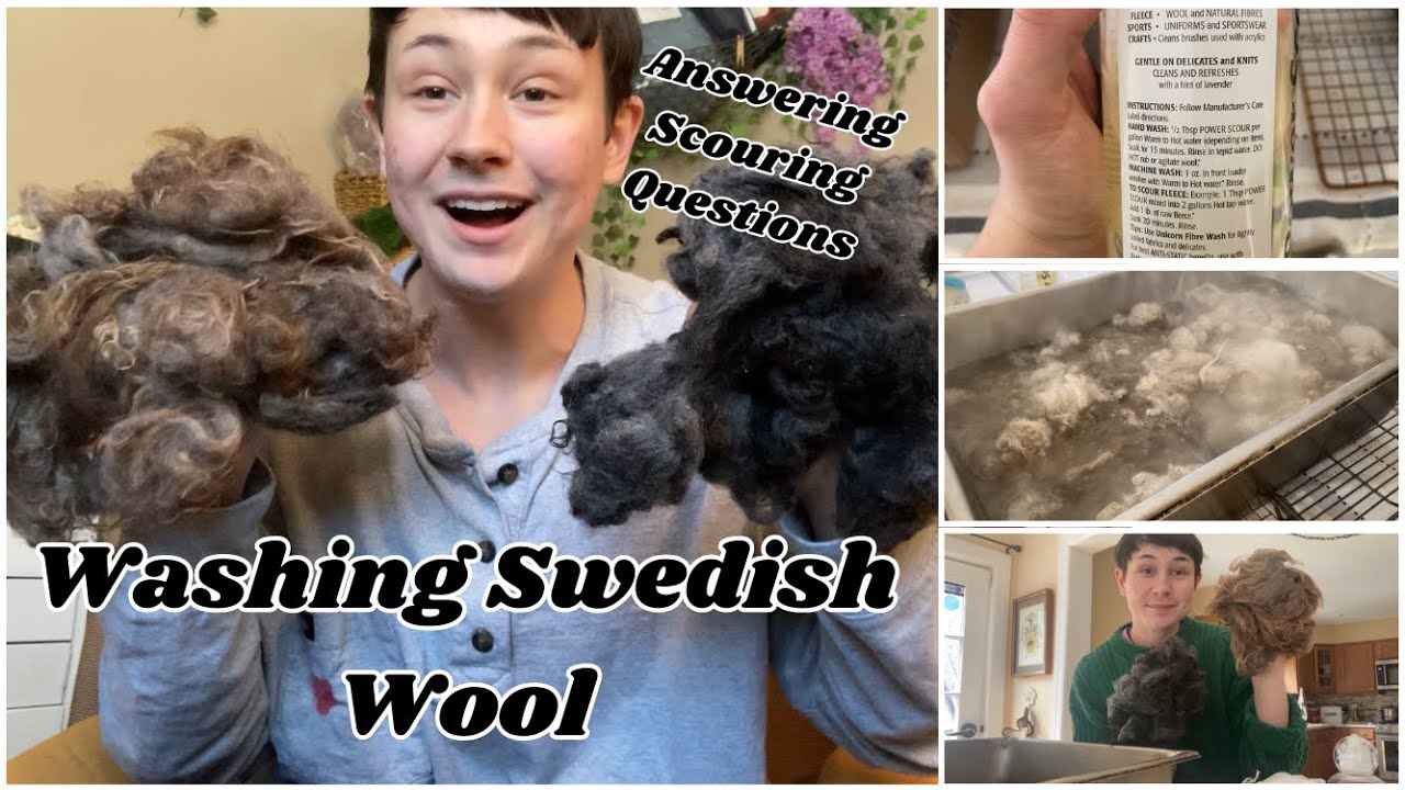 Wool Washing Day: Swedish Värmland, Swedish Helsinge & US Shetland ...