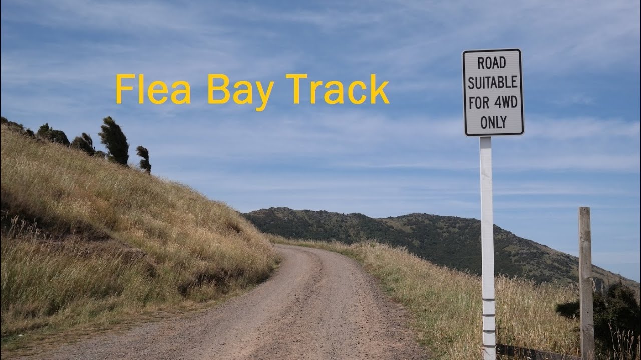 Flea Bay Overlanding Track - YouTube