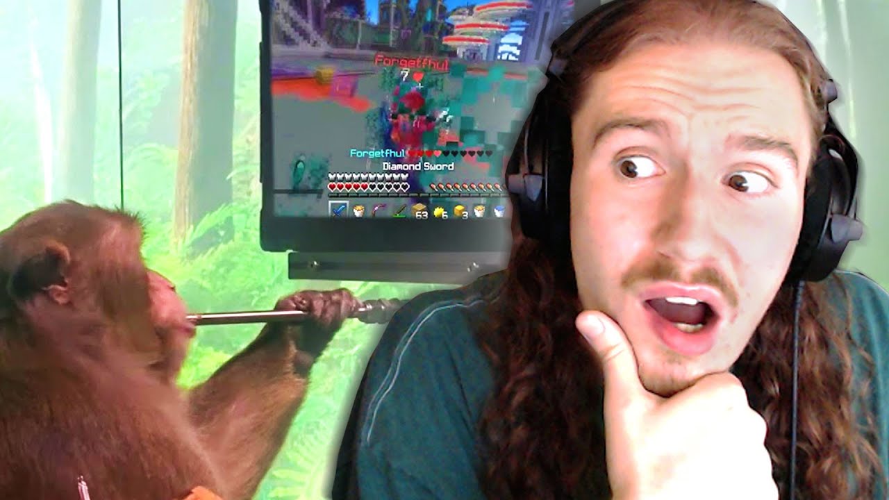 ActuallyiZly Reacts: FUNNIEST REACTION TO MONKEY PLAYING MINECRAFT 😂 ...