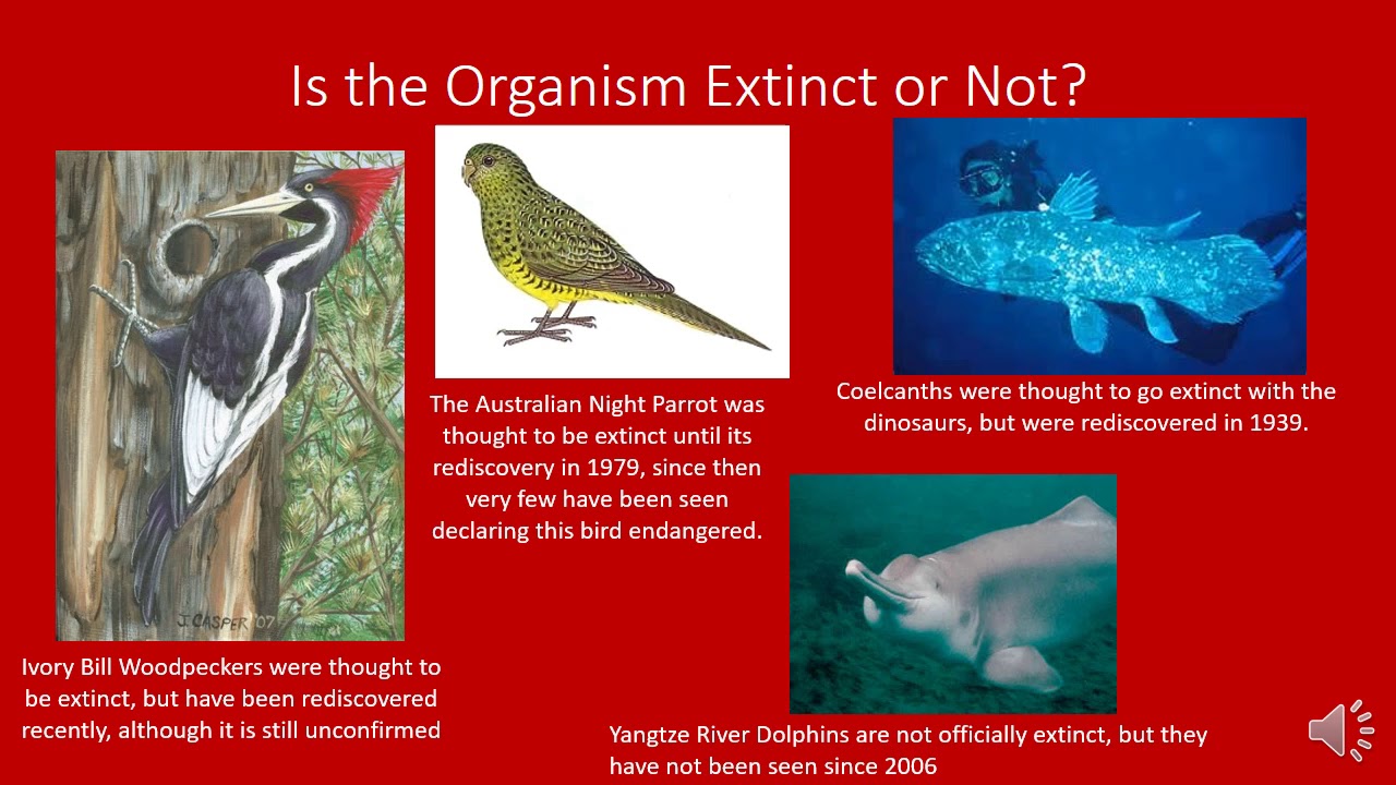 Chapter 6 Mass Extinction and Global Climate Change - YouTube