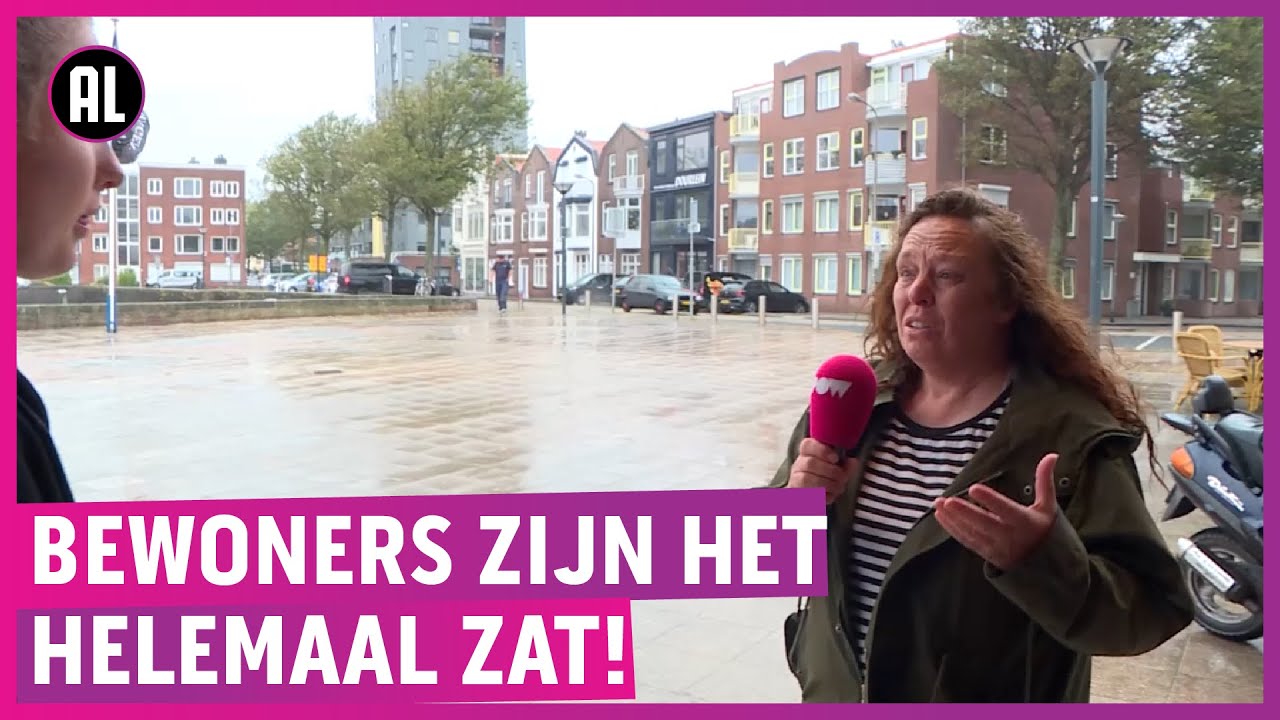 Schijtende spreeuwen schijten heel Vlissingen eronder - YouTube